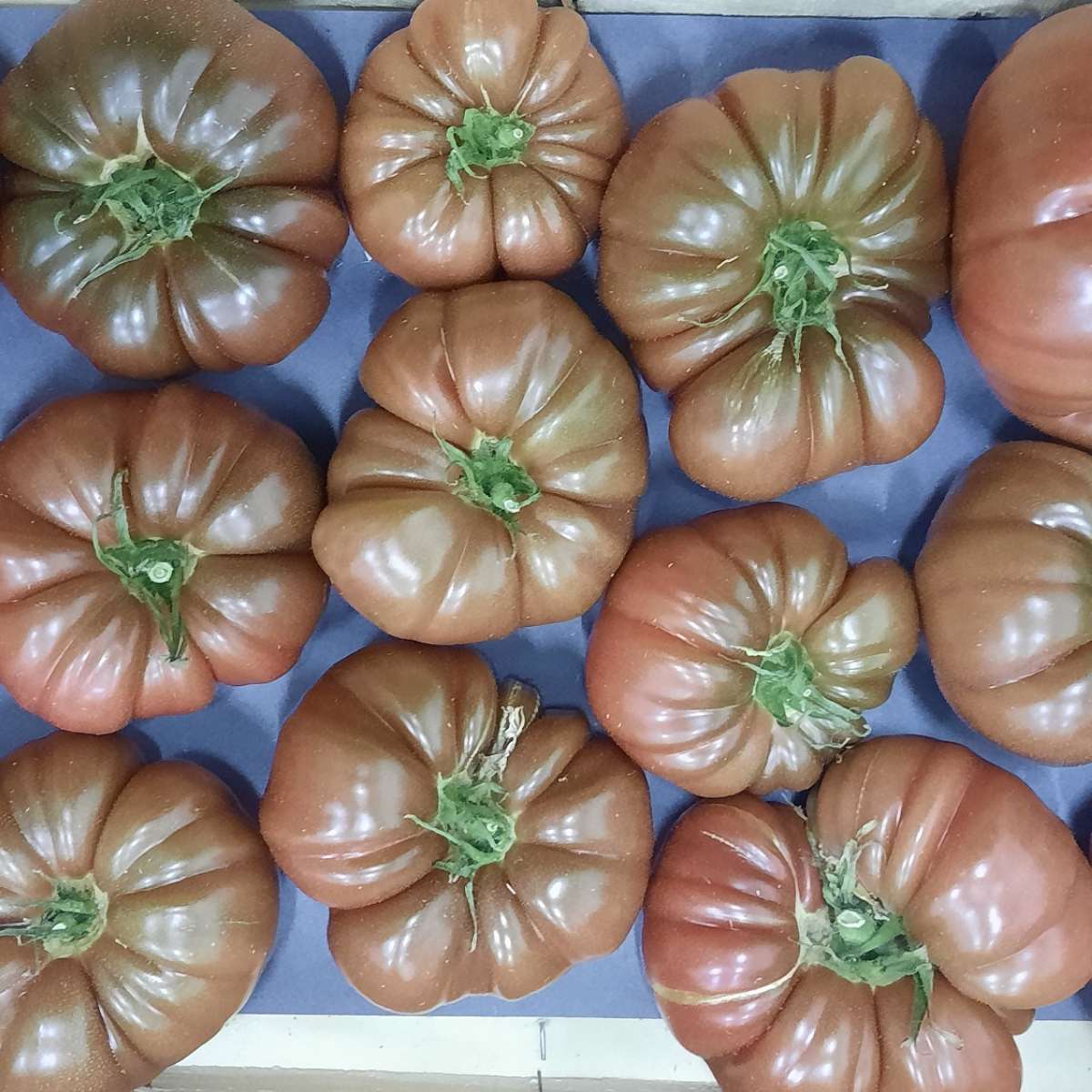 Notre boutique en ligne Earl Clair Fruits à Loriol-sur-Drôme